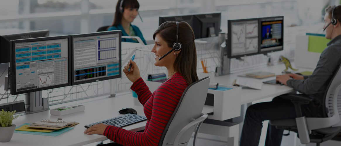 Application & Technical Support - Steady Business Solutions